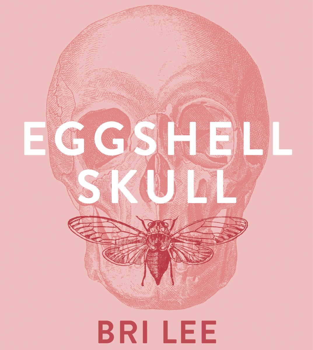 Eggshell Skull – Bookshelves & Bourbon